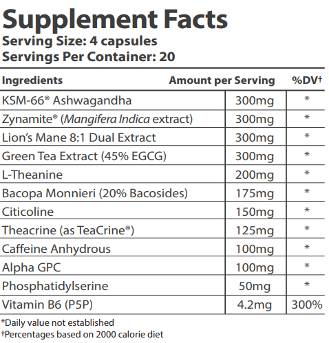 Total Brain Optimizer | Energy, Memory, Focus Nootropic | XBrain