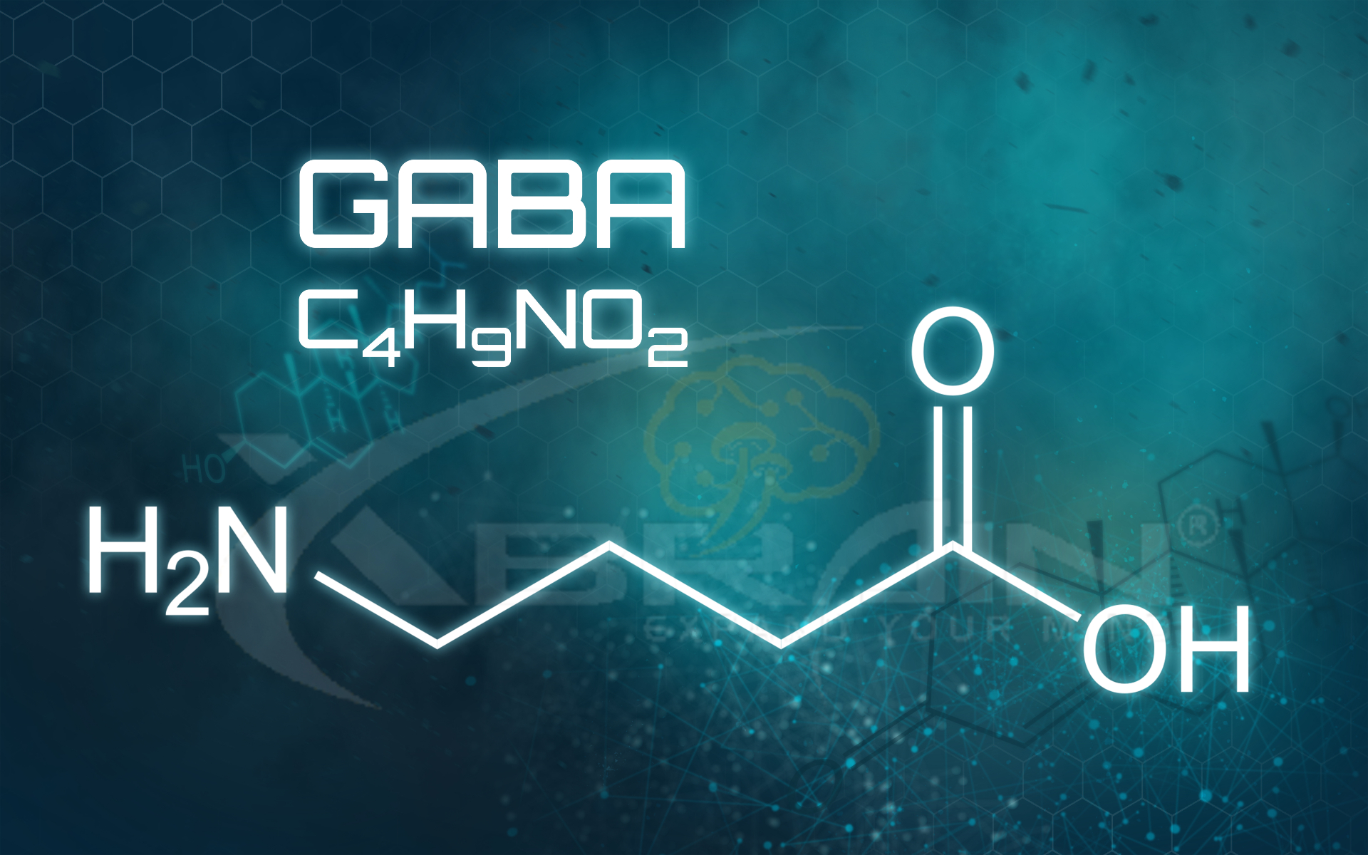 Alpha Brain Ingredients - GABA - XBrain