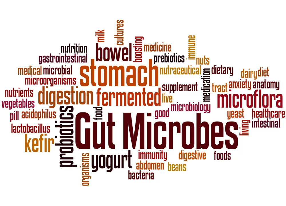 Enhance Your Wellness: Improve Nutrient Absorption with Digestive ...
